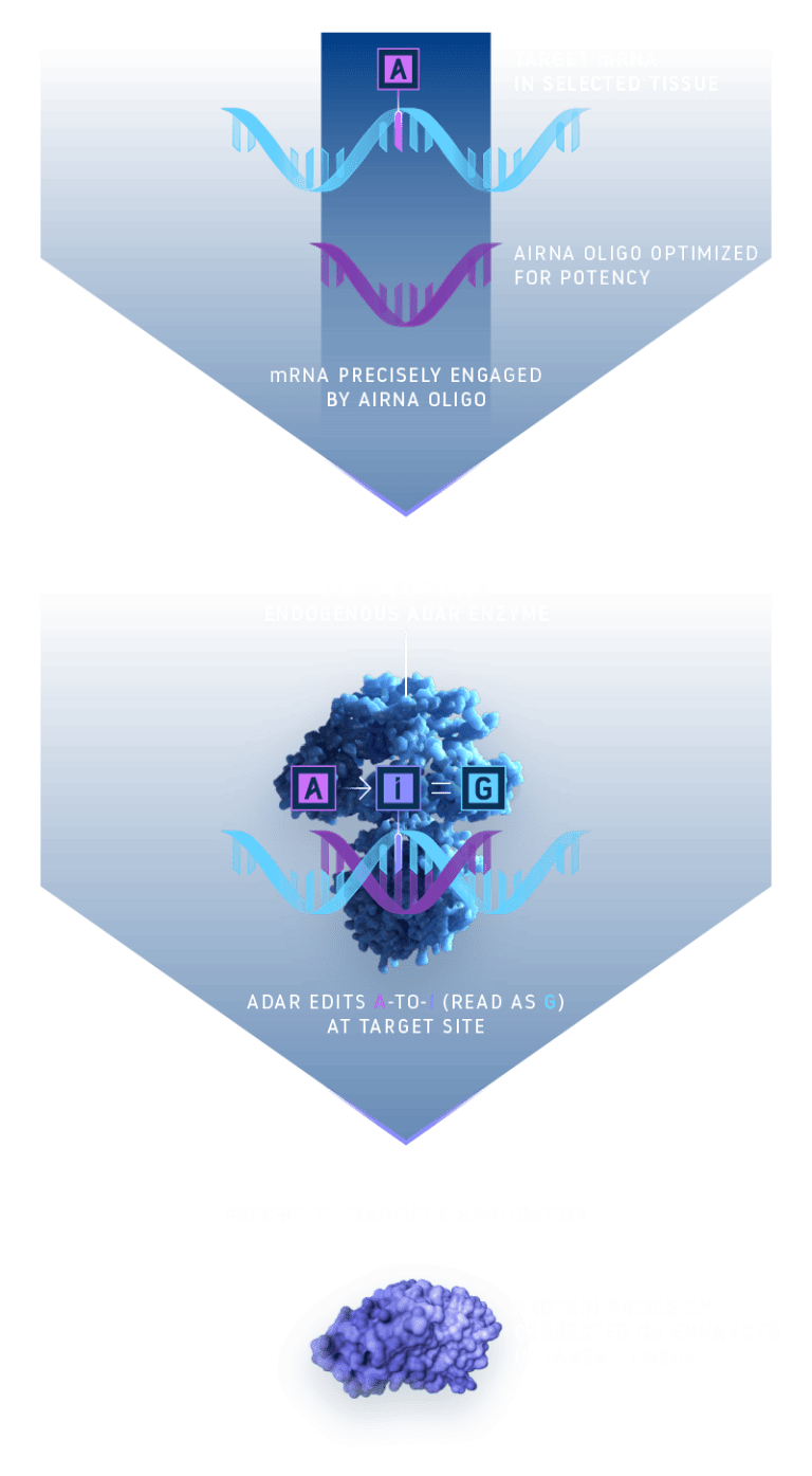 Science & Platform — Airna